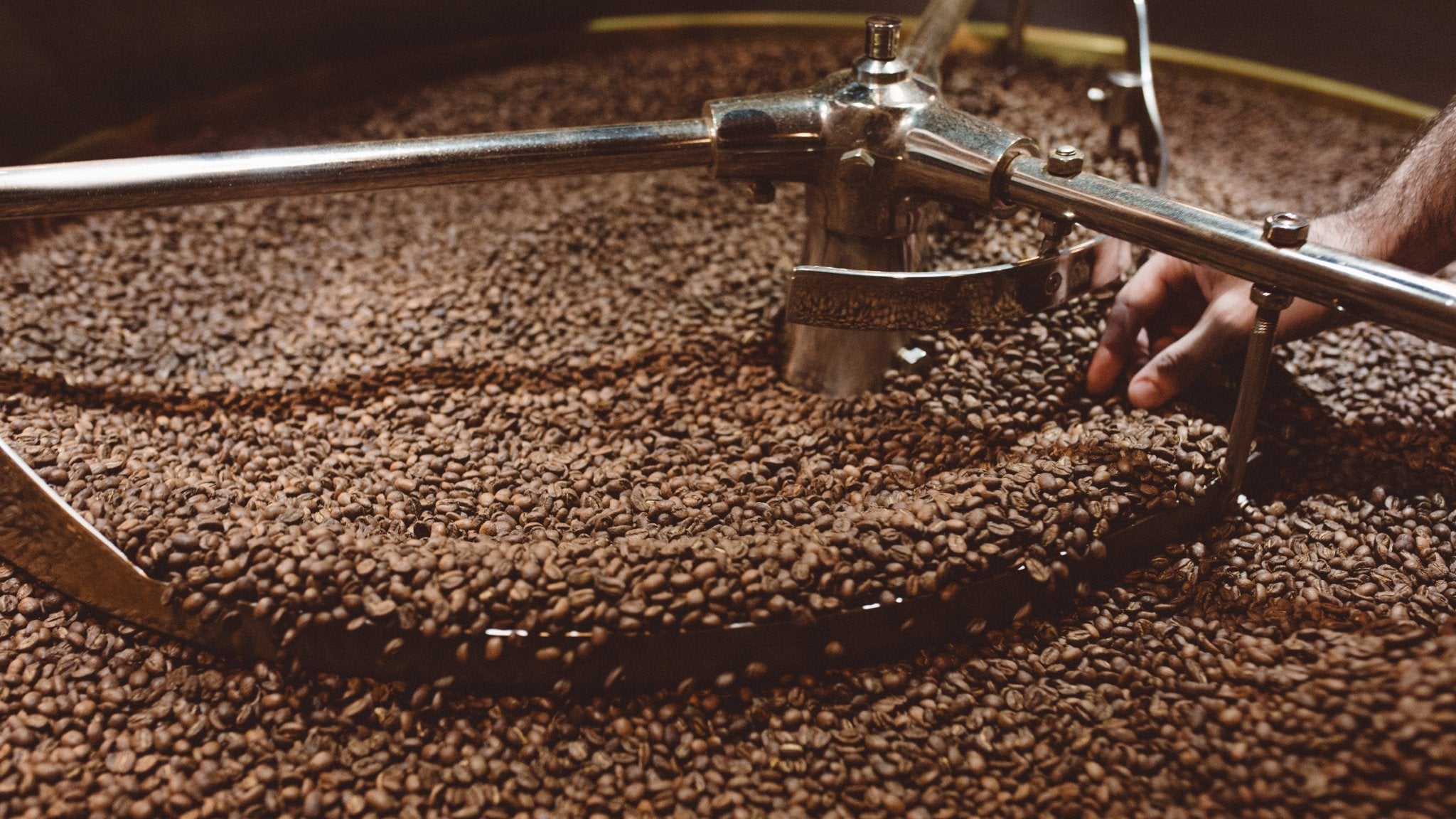 2020 Roaster of the Year Finalist / Micro Roasters – Spyhouse Coffee ...